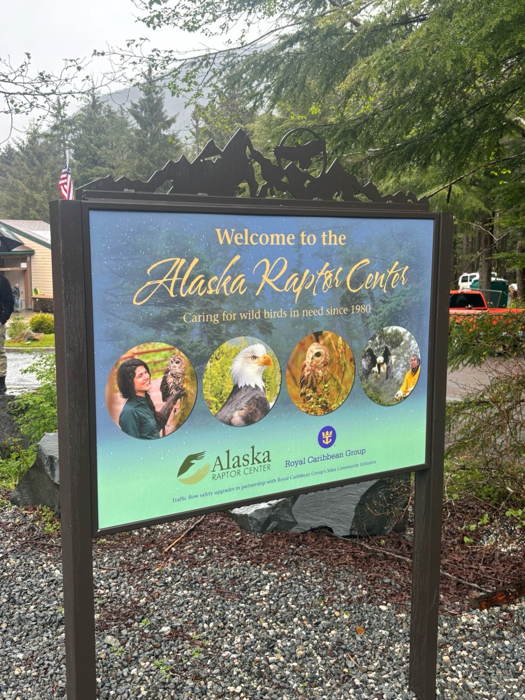 Visiting Alaska Raptor Center, Sitka – The Roaming Wolf