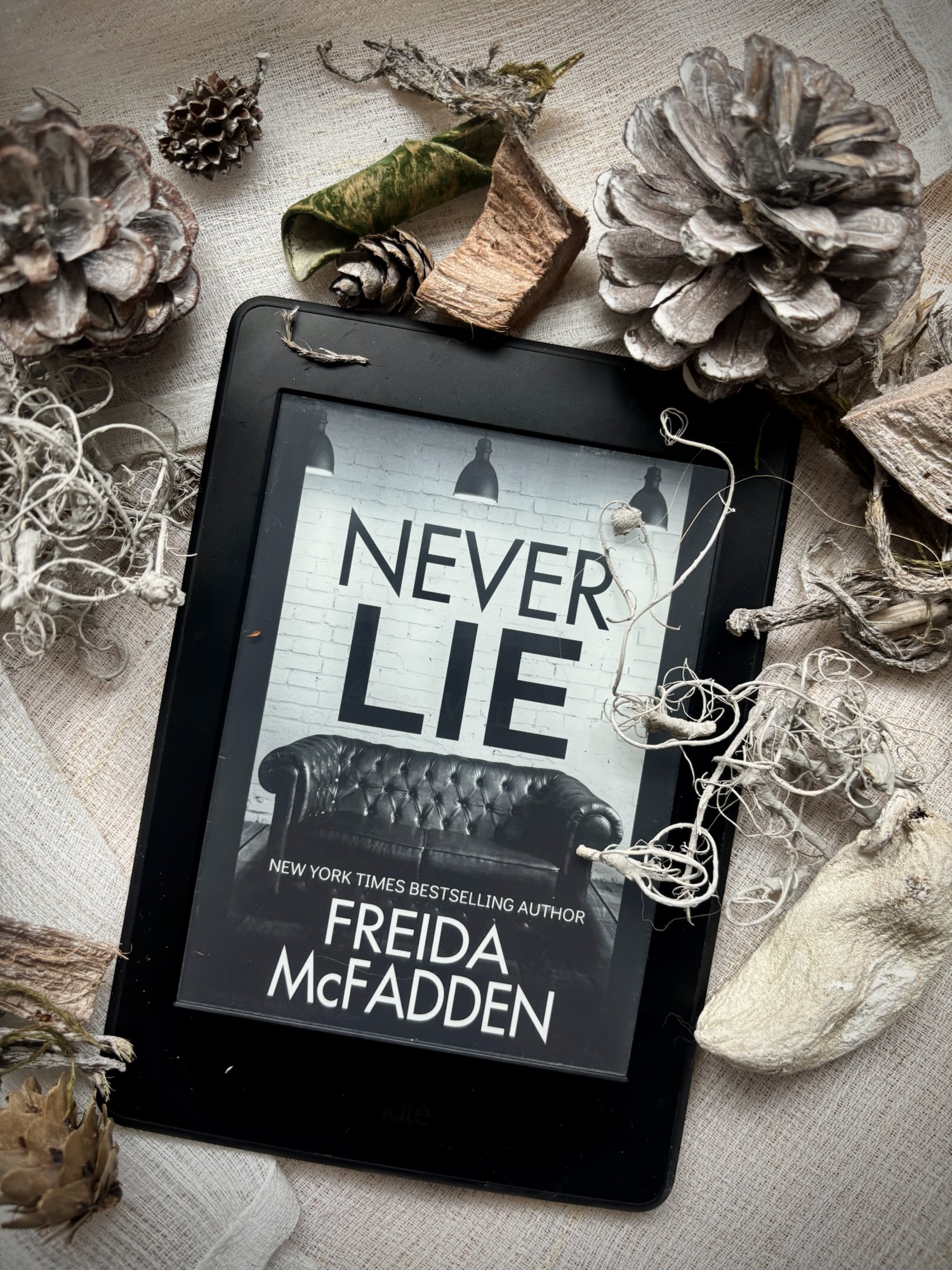 Never Lie by Freida McFadden – Book Review – The Roaming Wolf